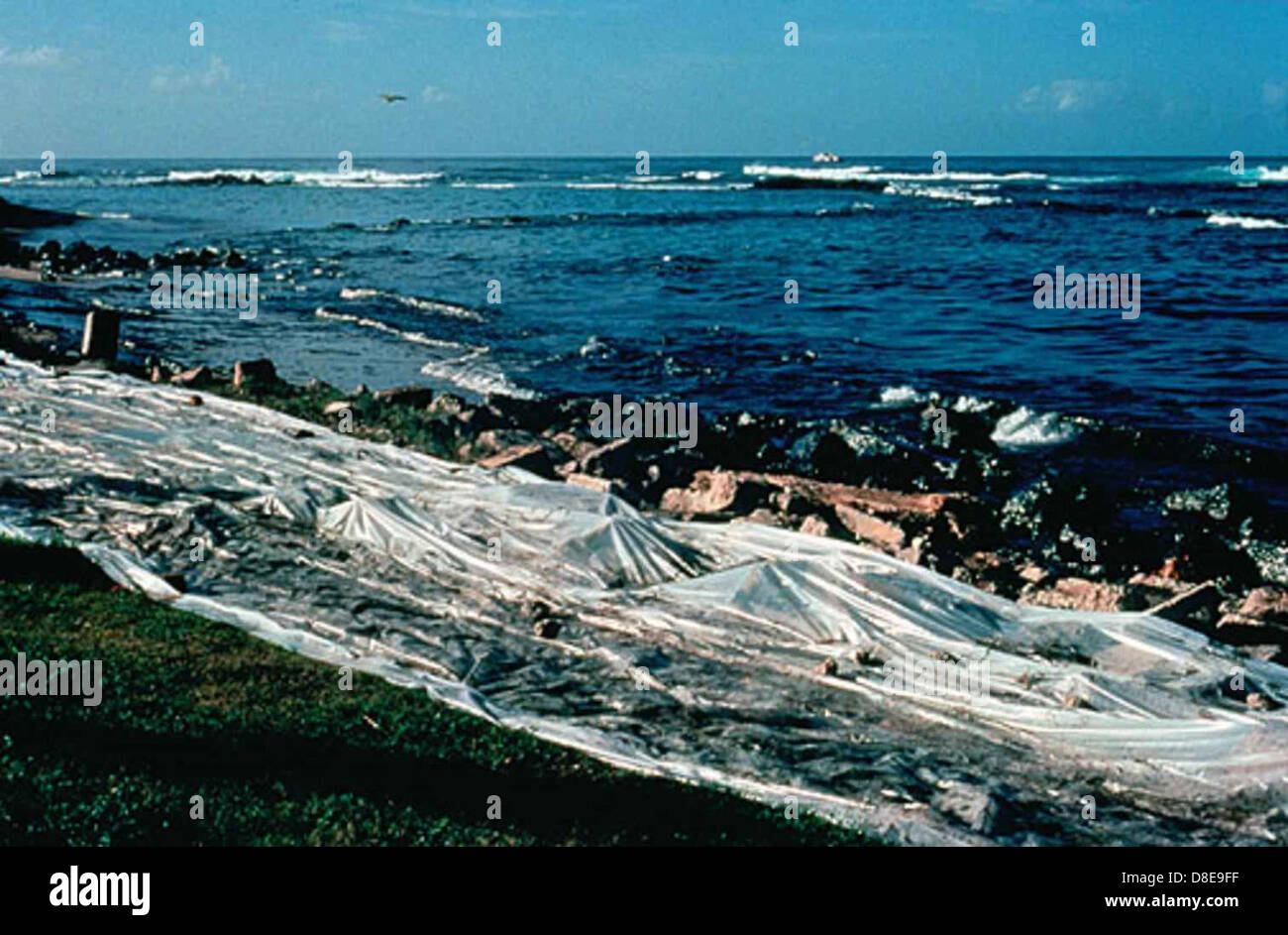 Volunteers or workers participate in a shoreline cleanup, removing ...