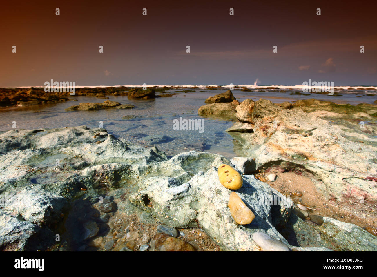 Reef stones an ocean water Stock Photo - Alamy