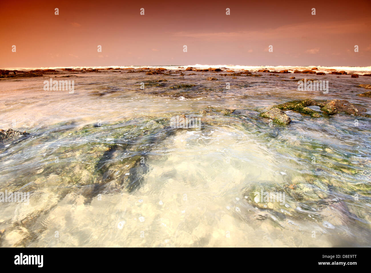 Reef stones an ocean water Stock Photo - Alamy