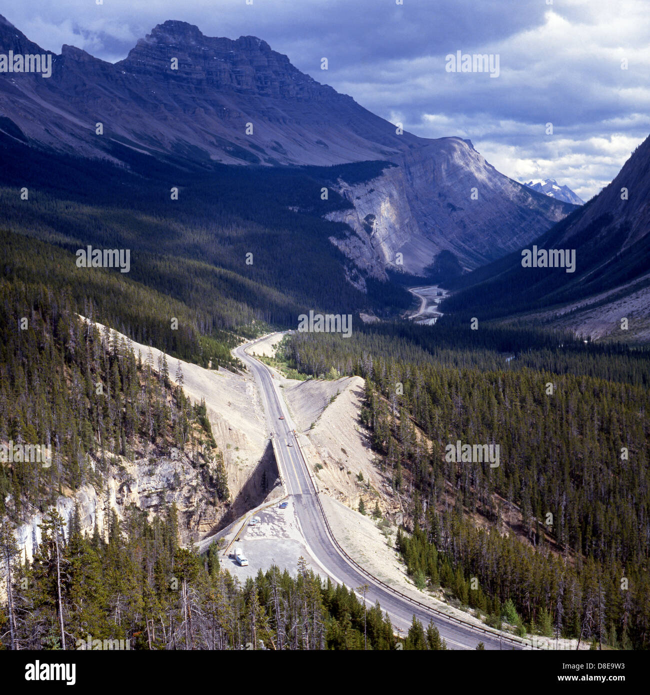 Road passing through wooded area with mountains to rear, Icefields ...