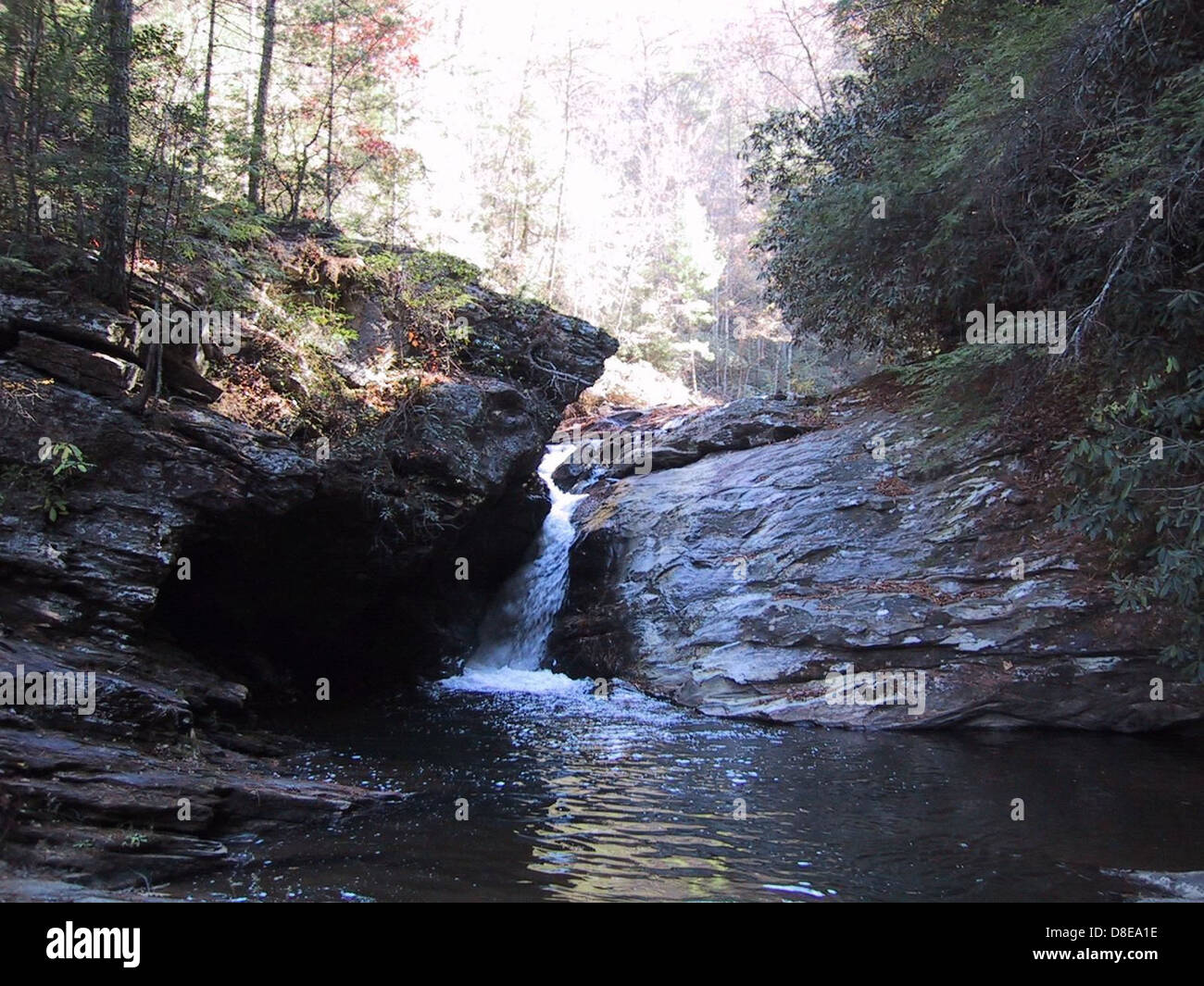 Waterfall flows through forest in hi-res stock photography and images ...