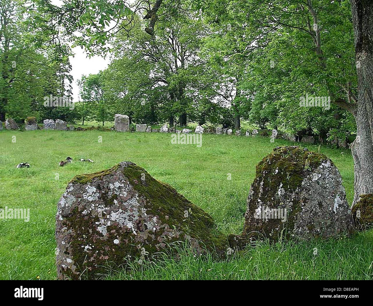 Stone circles in Grange, Ireland, are ancient megalithic structures ...