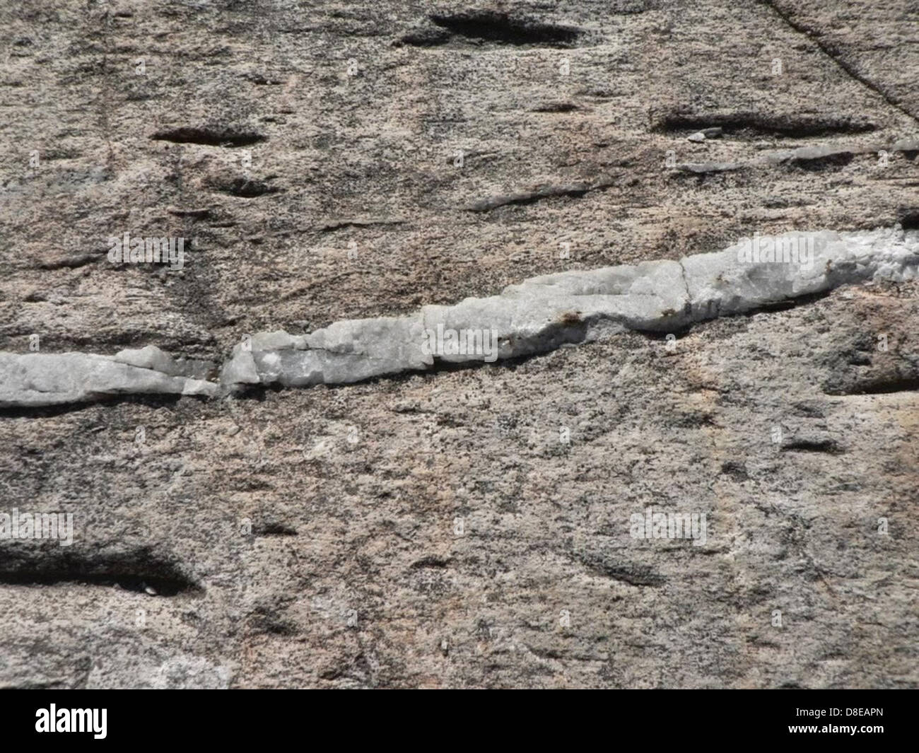A close-up view of a stone surface reveals its texture, color, and ...