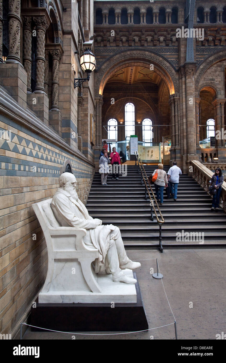 Charles Darwin Statue, The Natural History Museum, London, England ...