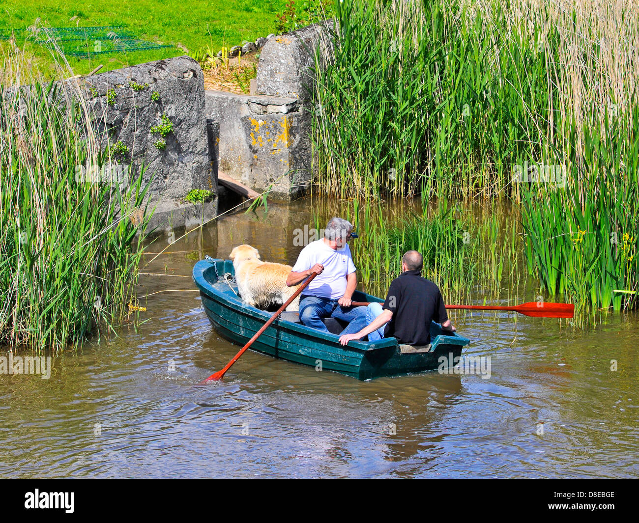 Two men in rowing boat hi-res stock photography and images - Alamy
