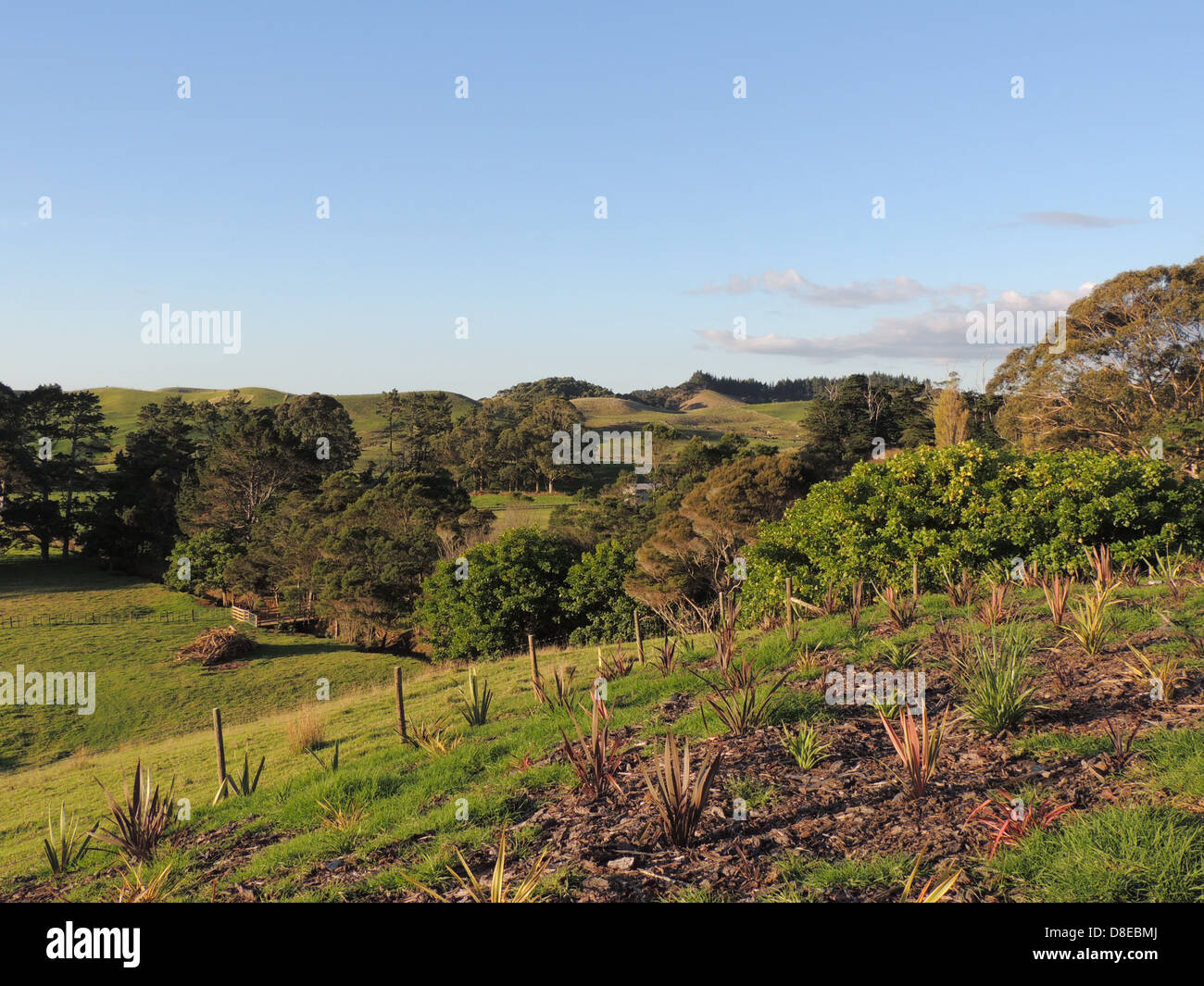 Summer idyll hi-res stock photography and images - Alamy