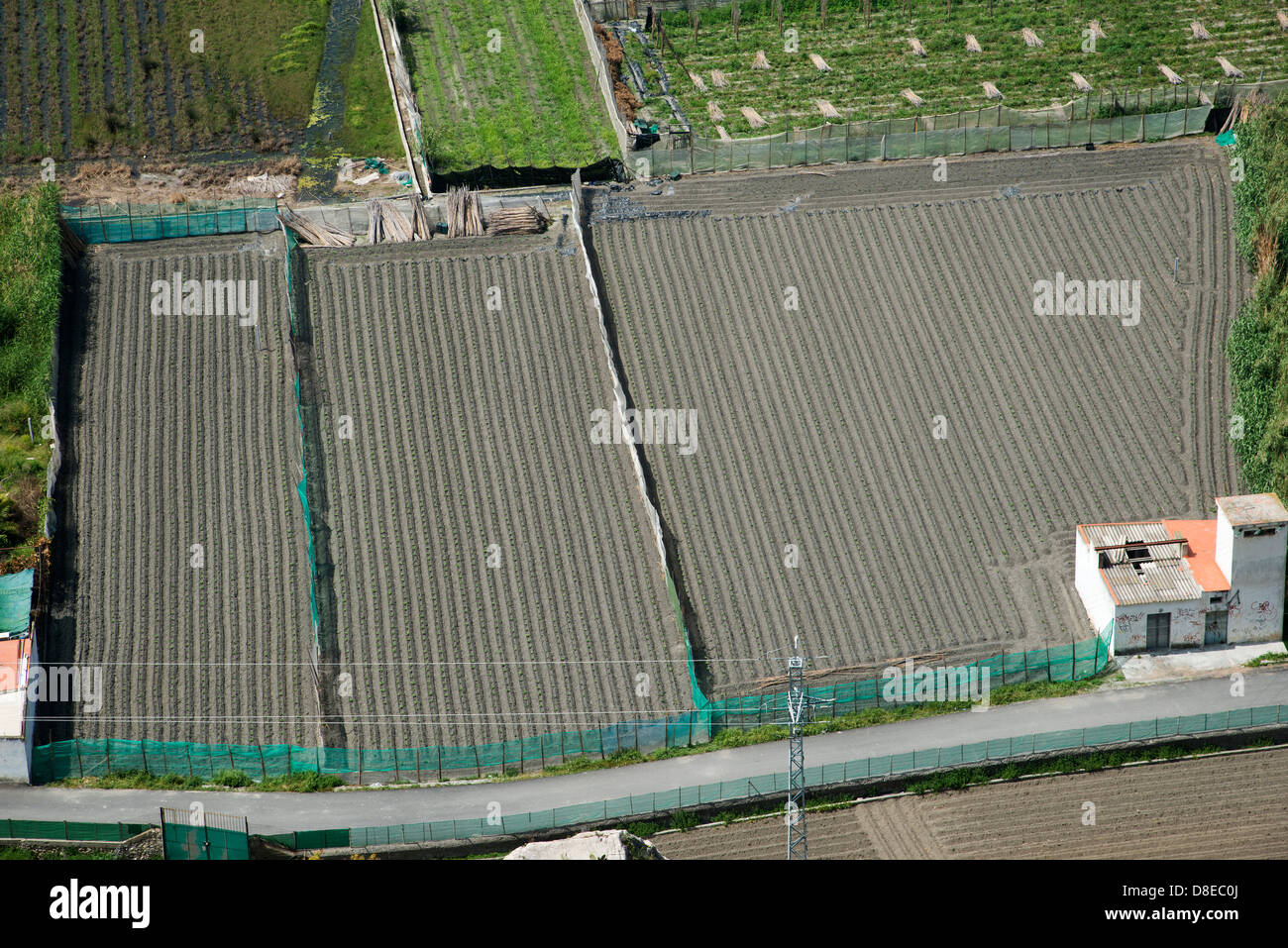Crops growing on a southern Spanish smallholding Stock Photo - Alamy