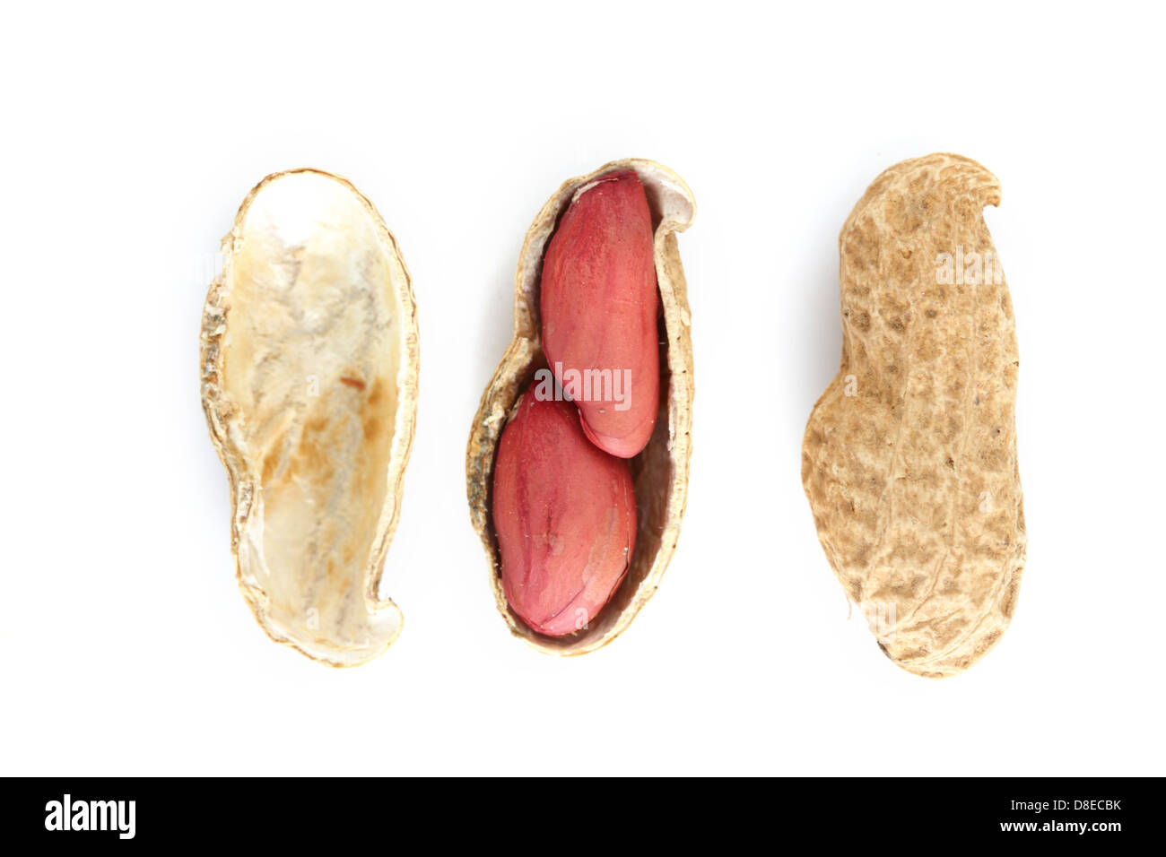 Peanut harvest Cut Out Stock Images & Pictures - Alamy