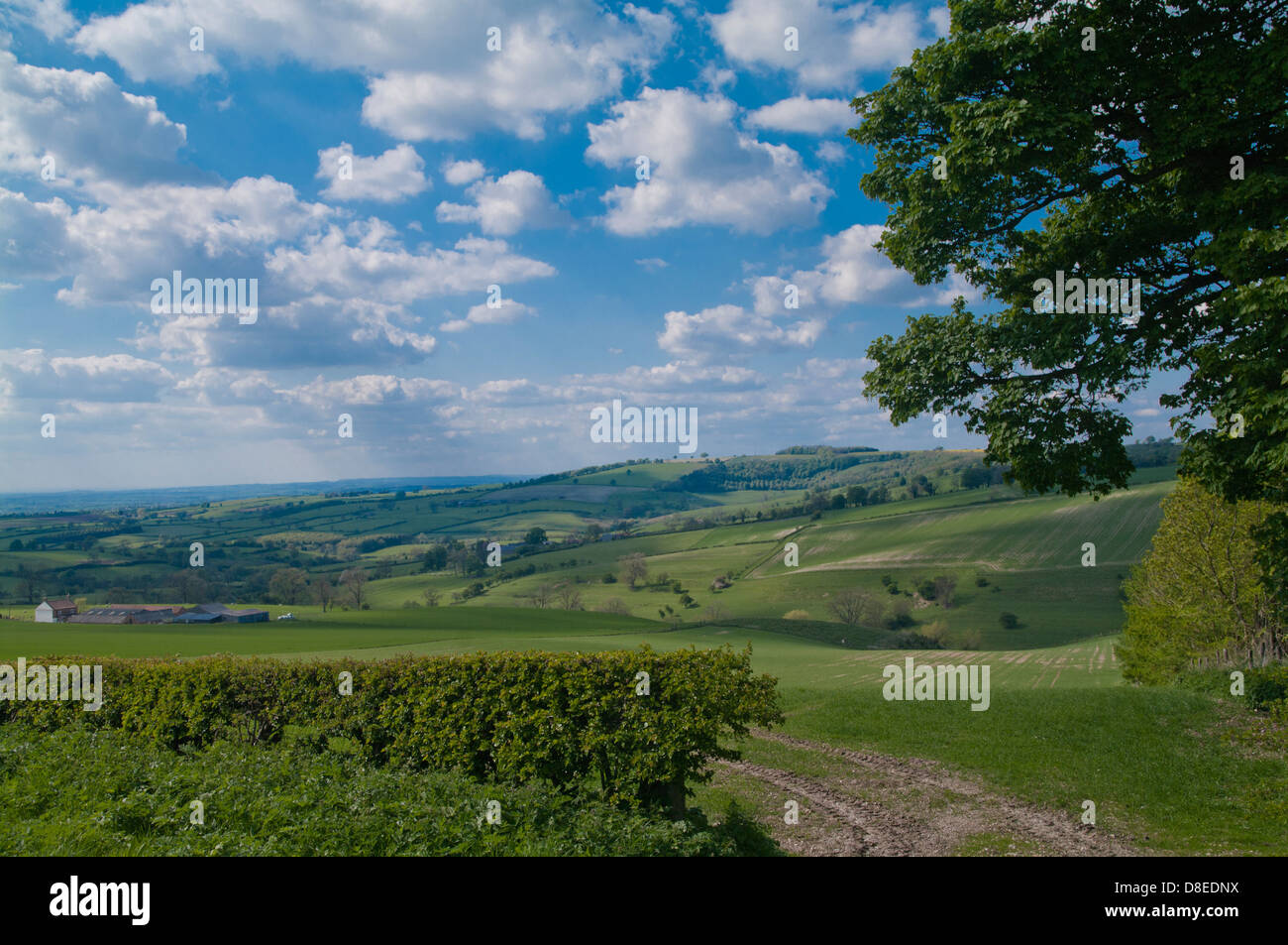 Yorkshire Wolds Landscape Stock Photo - Alamy