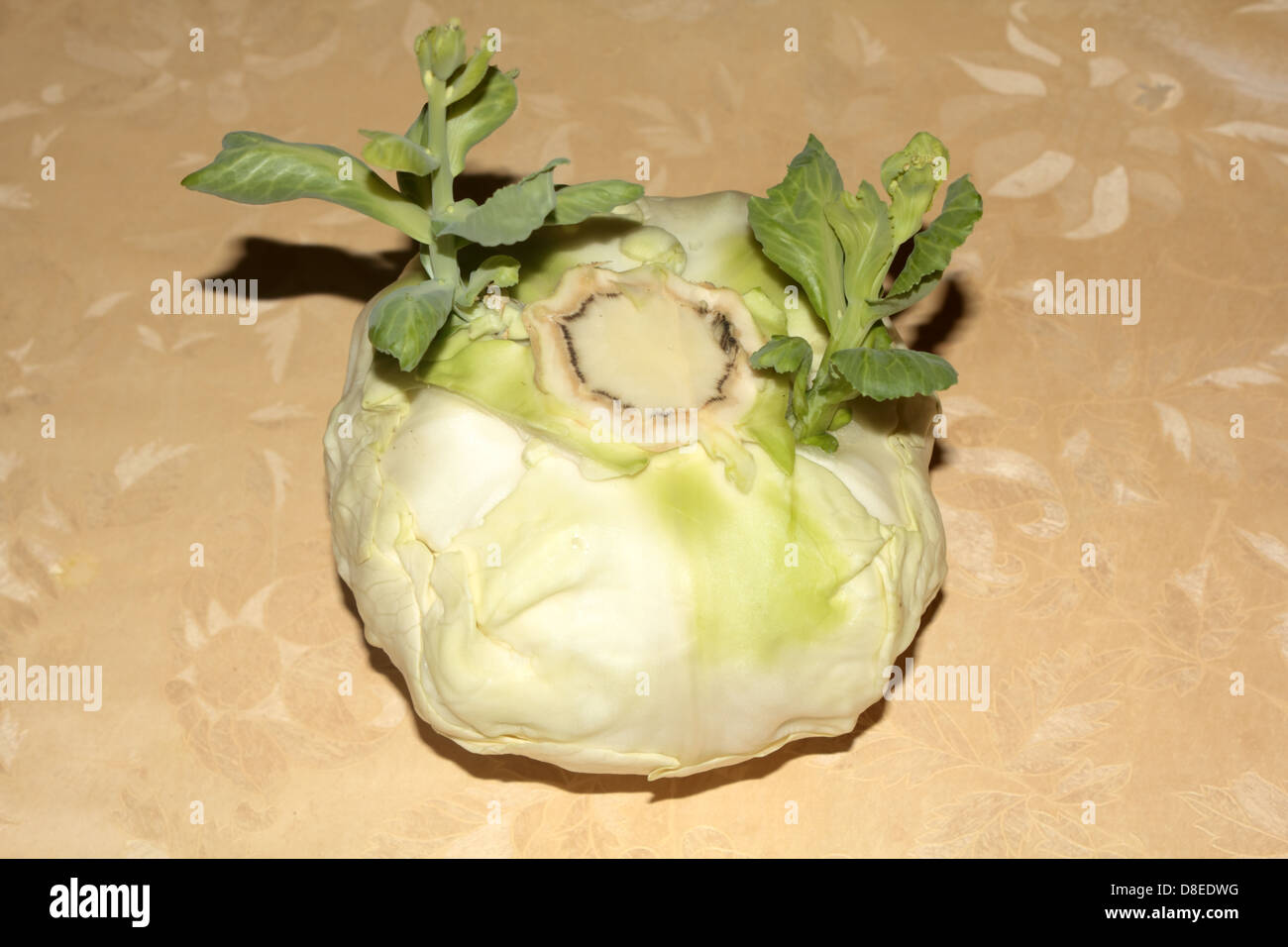 Picture of a cabbage on the table Stock Photo - Alamy