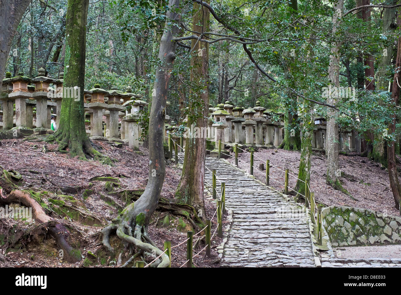 Temple and shrine in Nara Japan Stock Photo - Alamy