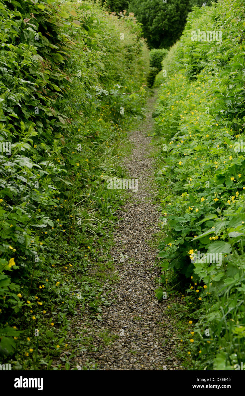 Greenery vegetation hi-res stock photography and images - Alamy