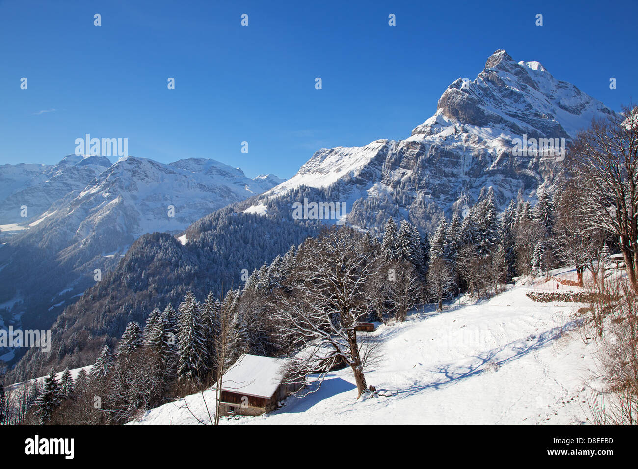 Typical swiss winter season landscape. January 2011, Switzerland Stock ...