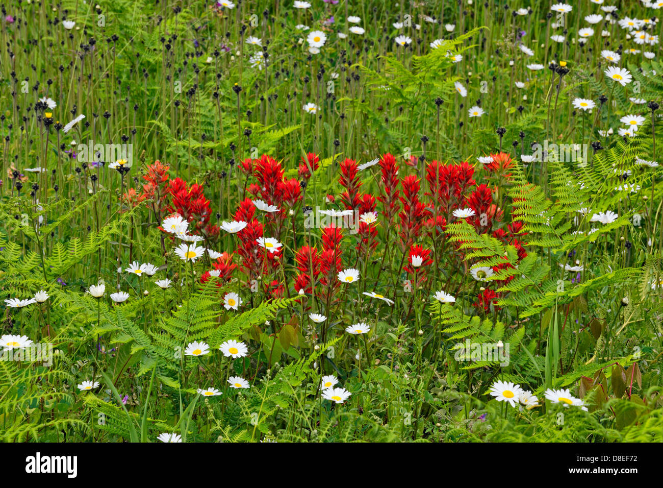 Roadside flower displays hi-res stock photography and images - Alamy