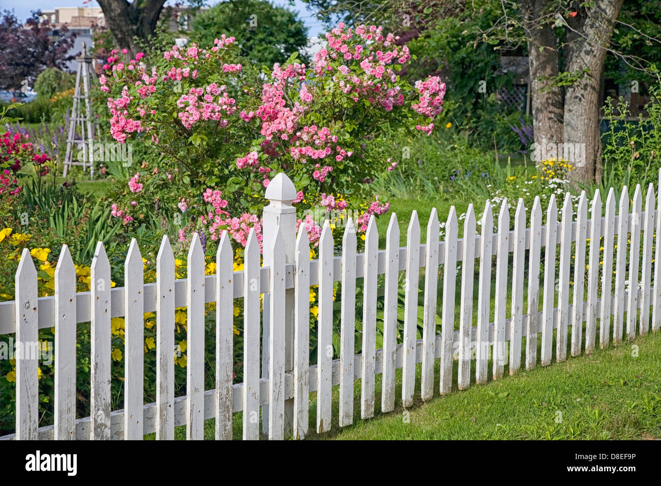 Wooden picket fence hi-res stock photography and images - Alamy