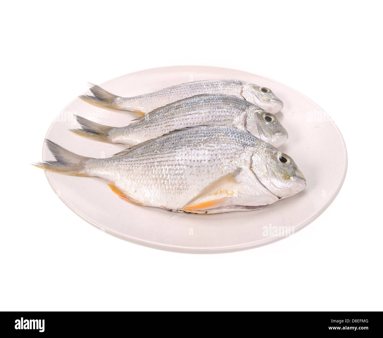 Fish in the plate Stock Photo - Alamy