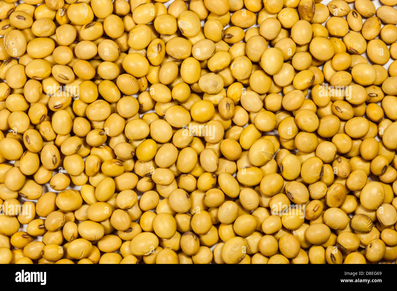 Bean soy hi-res stock photography and images - Alamy