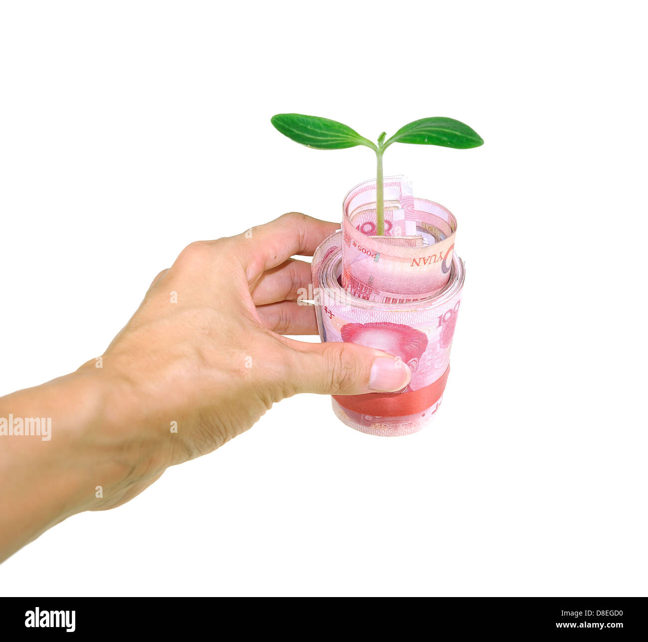 Money tree grow hi-res stock photography and images - Alamy