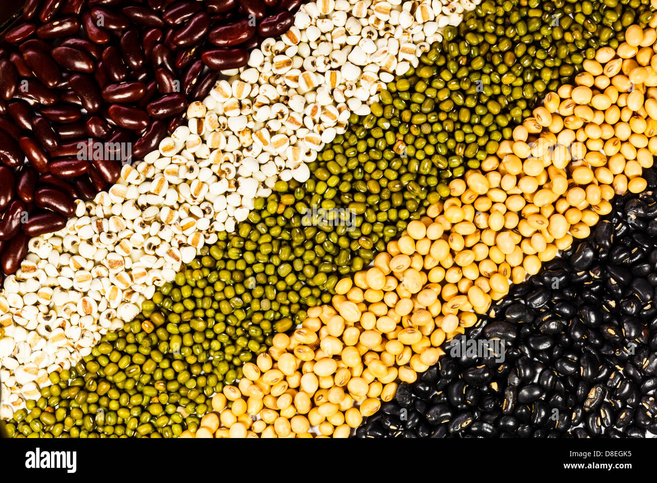 Ranks of different beans Stock Photo - Alamy