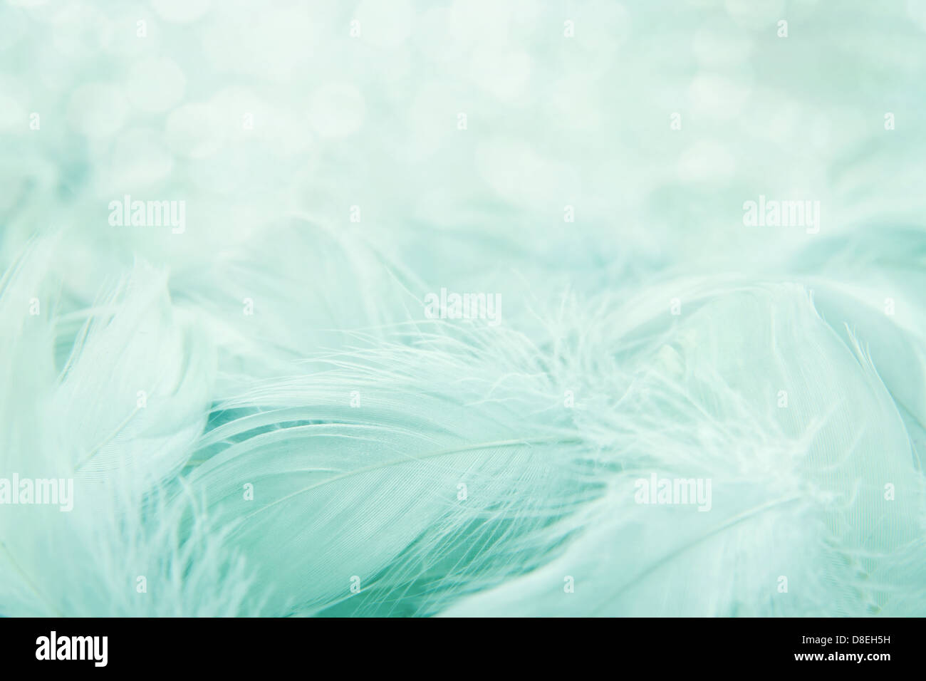 Soft fluffy texture hi-res stock photography and images - Alamy