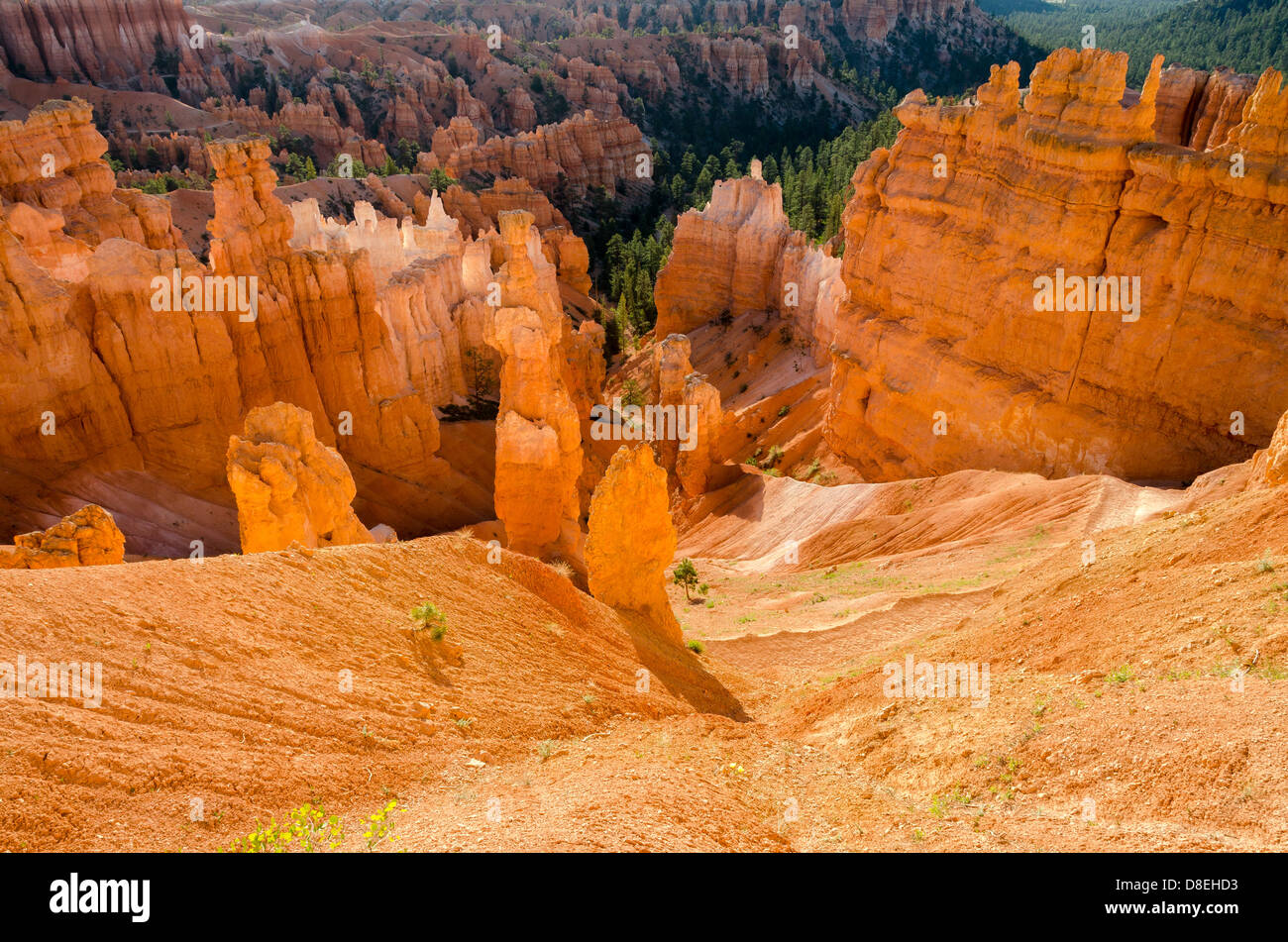 Bryce Canyon National Park in Utah Stock Photo - Alamy