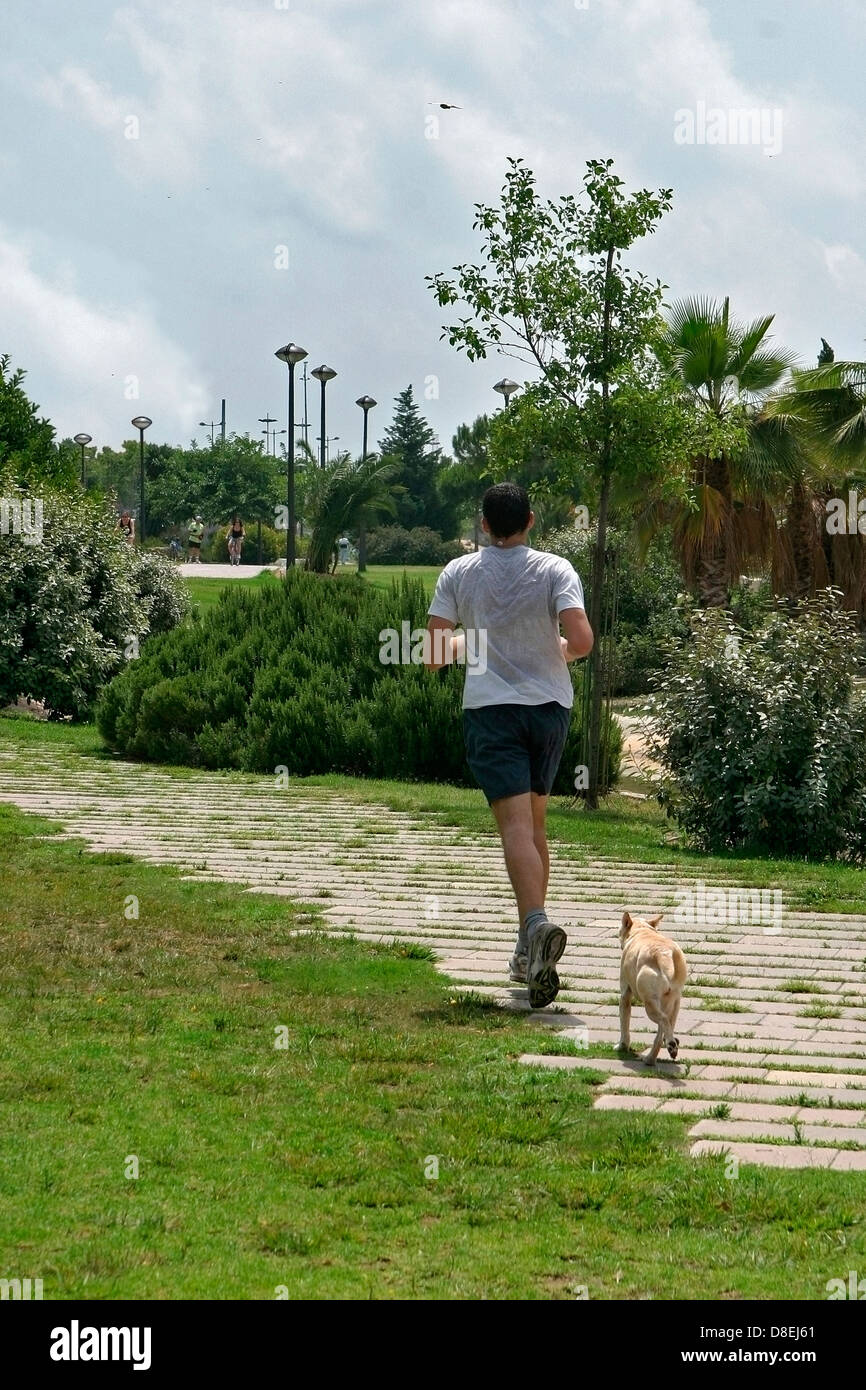 Man running with his dog on a summer morning Stock Photo - Alamy