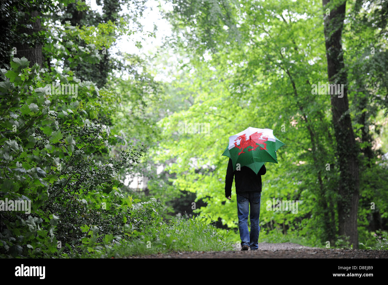 Cardiff, UK. 27th May, 2013. Fine weather in Cardiff turned to rain and ...