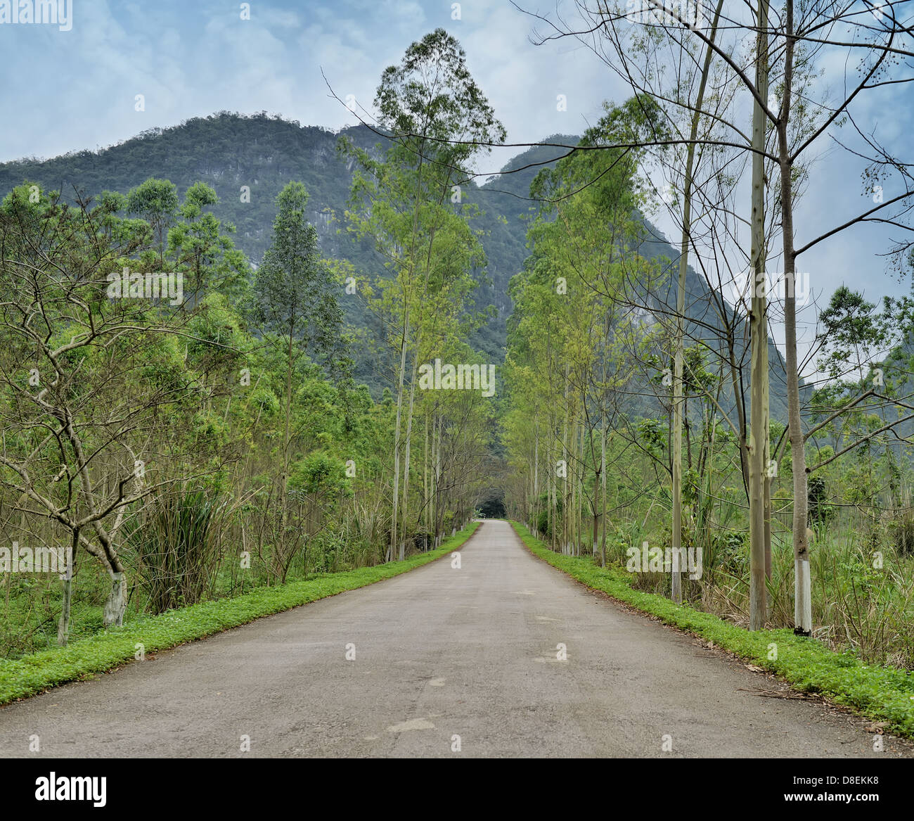 Old road through forest hi-res stock photography and images - Alamy