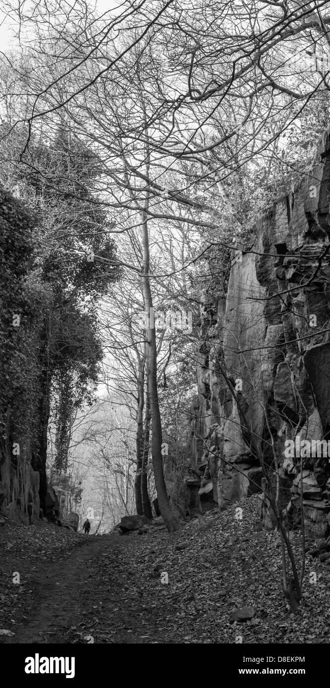 Branch railway Black and White Stock Photos & Images - Alamy