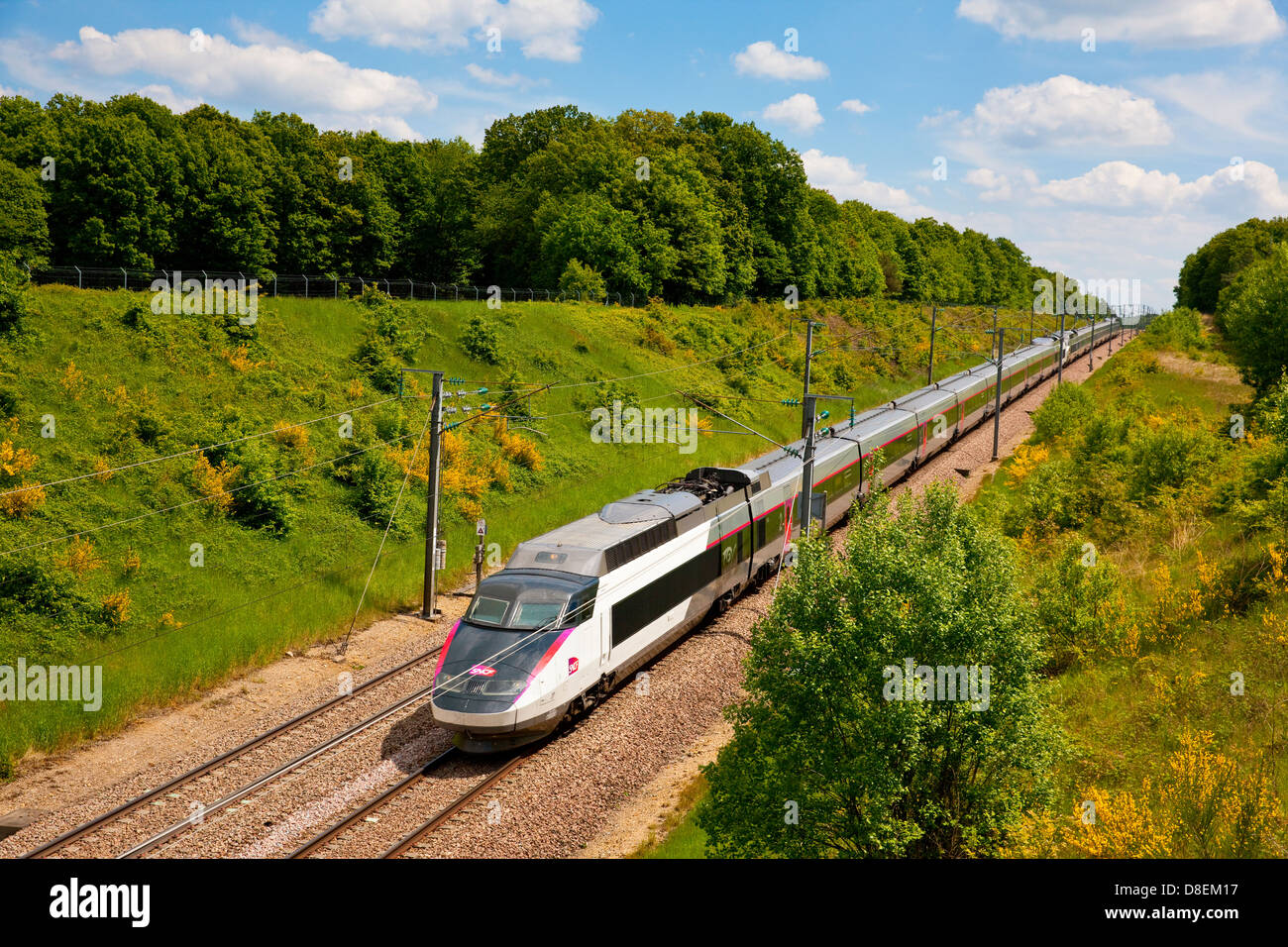 TGV SE with a carmillon decoration ( French high-speed rail service ...