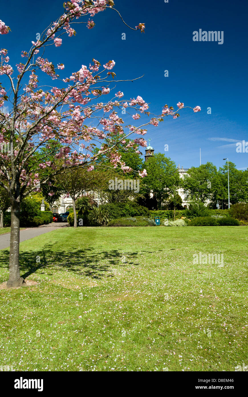 Alexandra Gardens Cathays Park Cardiff Wales Stock Photo - Alamy