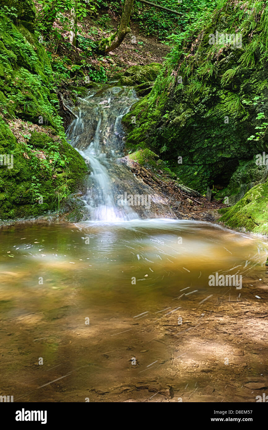 The river runs over cascades in the primeval forest - HDR Stock Photo ...