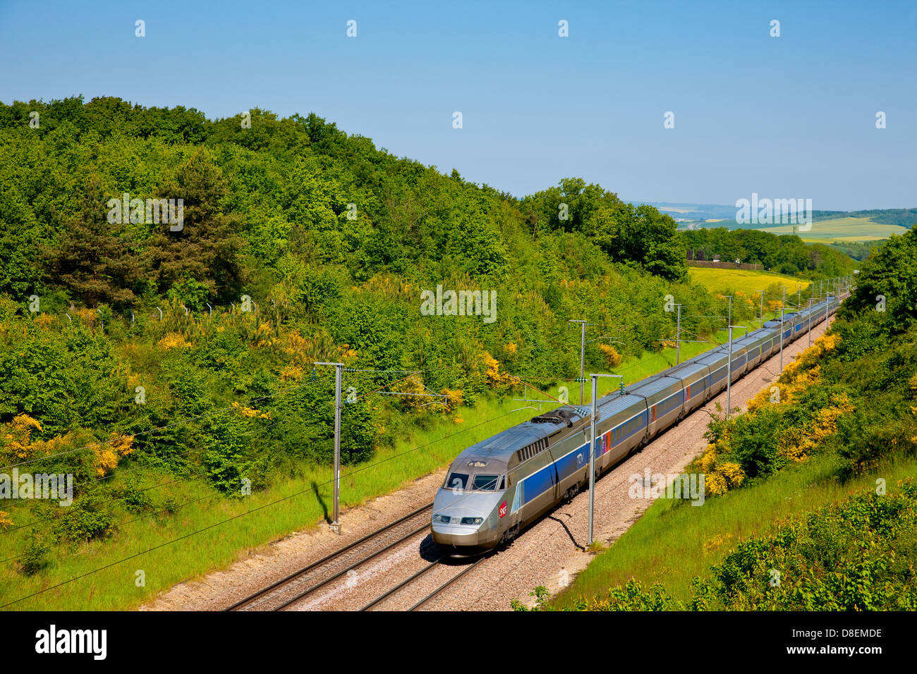TGV Réseau ( French high-speed rail service ) in the LGV Sud-Est near Sens, France Stock Photo ...