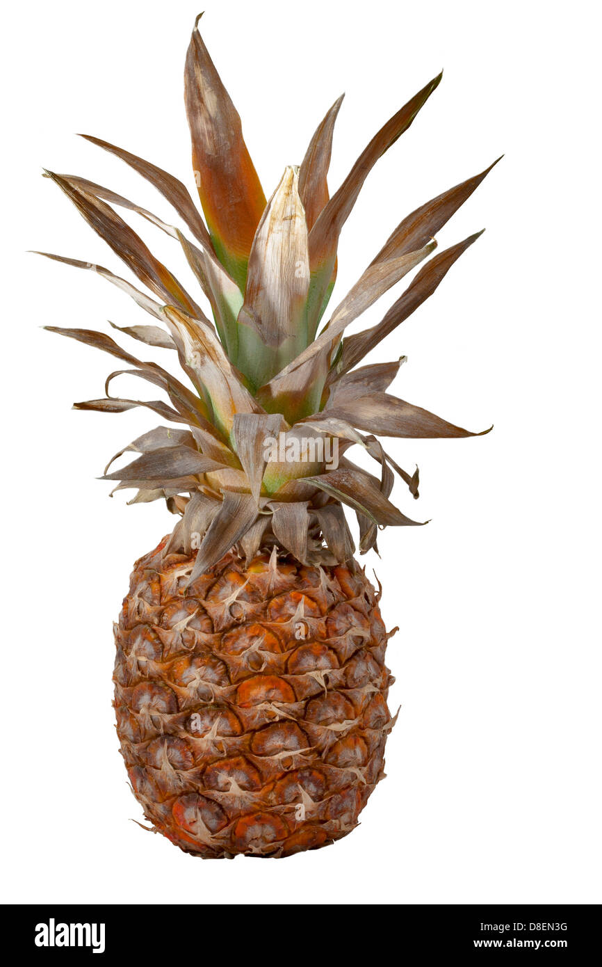 whole overripe pineapple isolated on a white background Stock Photo - Alamy