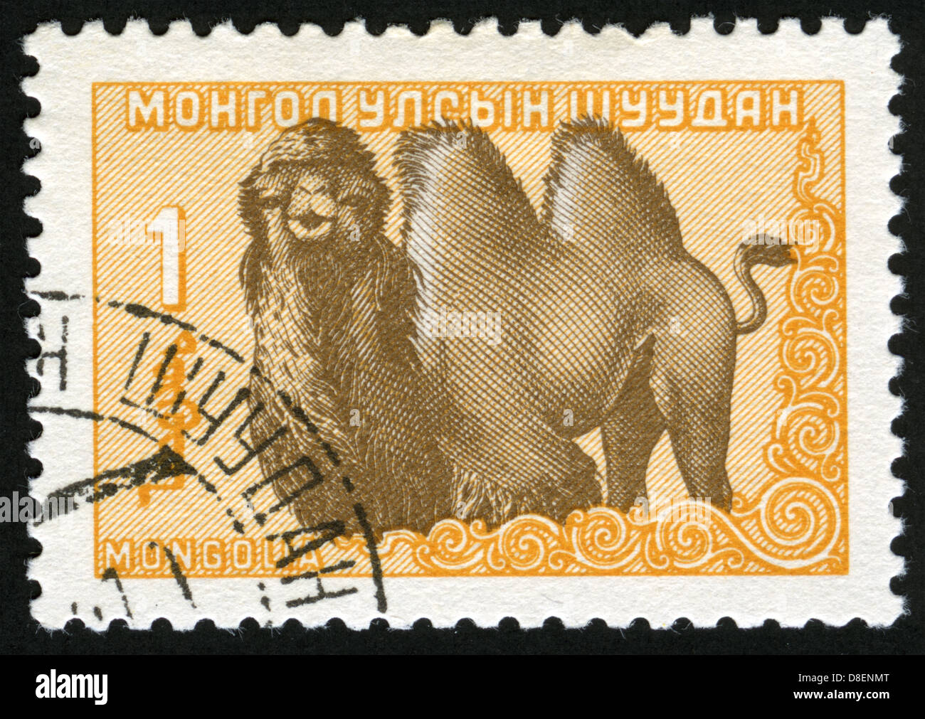 Mongolia Camel Stamp High Resolution Stock Photography and Images - Alamy