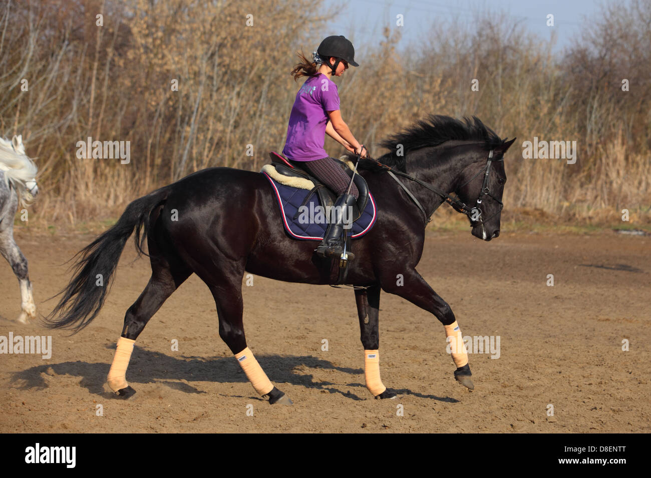 Girl training horseback riding Stock Photo - Alamy