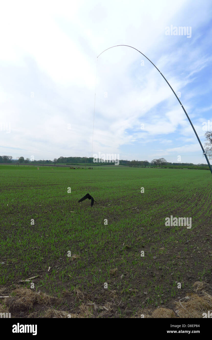 Bird scarer hi-res stock photography and images - Alamy