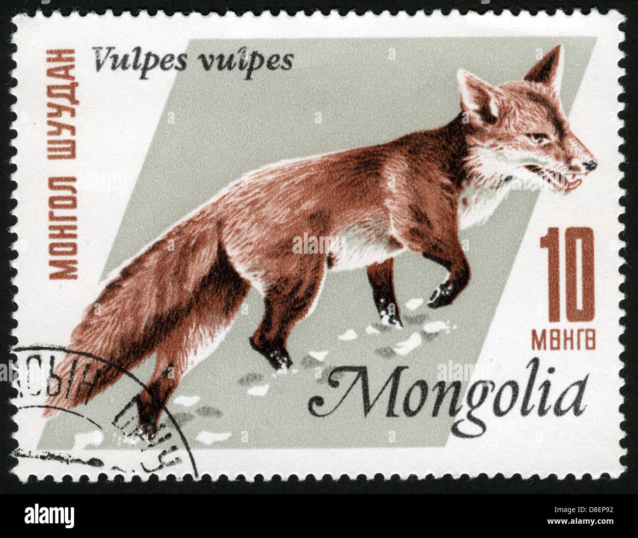 Image fox illustrations animals hi-res stock photography and images - Alamy
