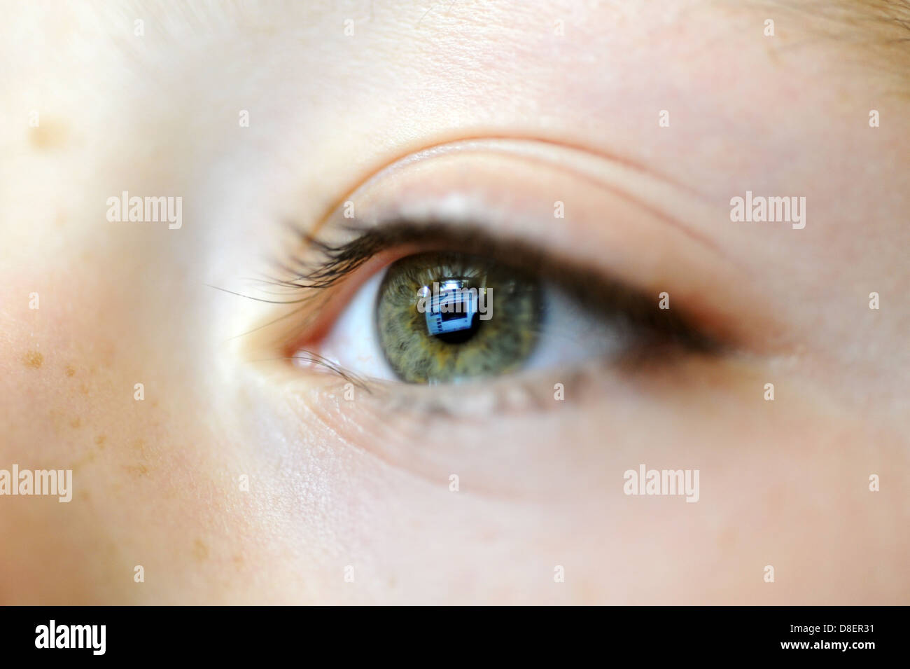 All seeing eye computer hi-res stock photography and images - Alamy