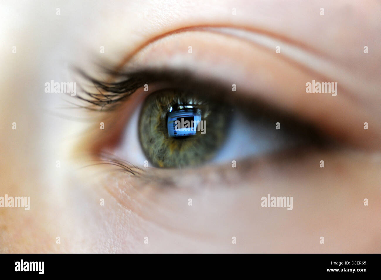 Reflection of a laptop computer screen in an 8 year old boys eye Stock ...