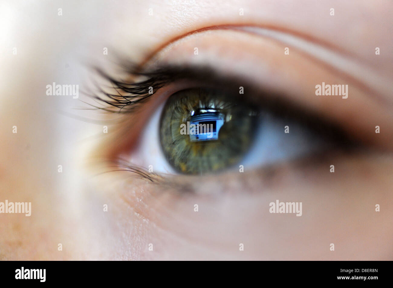 All seeing eye computer hi-res stock photography and images - Alamy