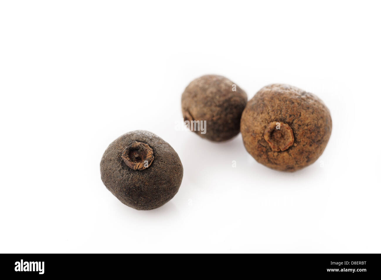 Allspice pepper (Jamaica pepper) on white background Stock Photo - Alamy