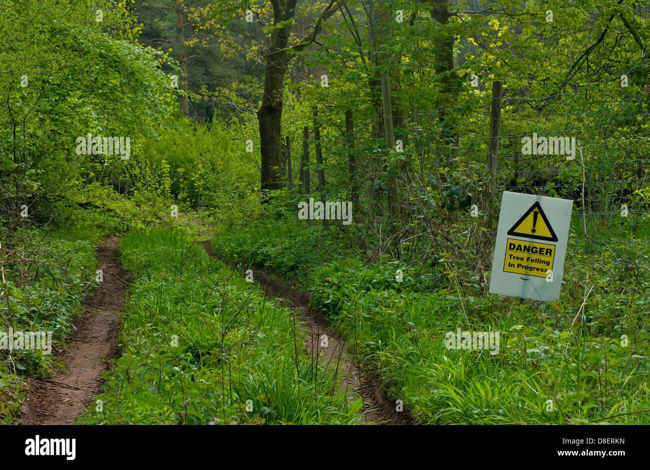 Warning tree felling sign hi-res stock photography and images - Alamy