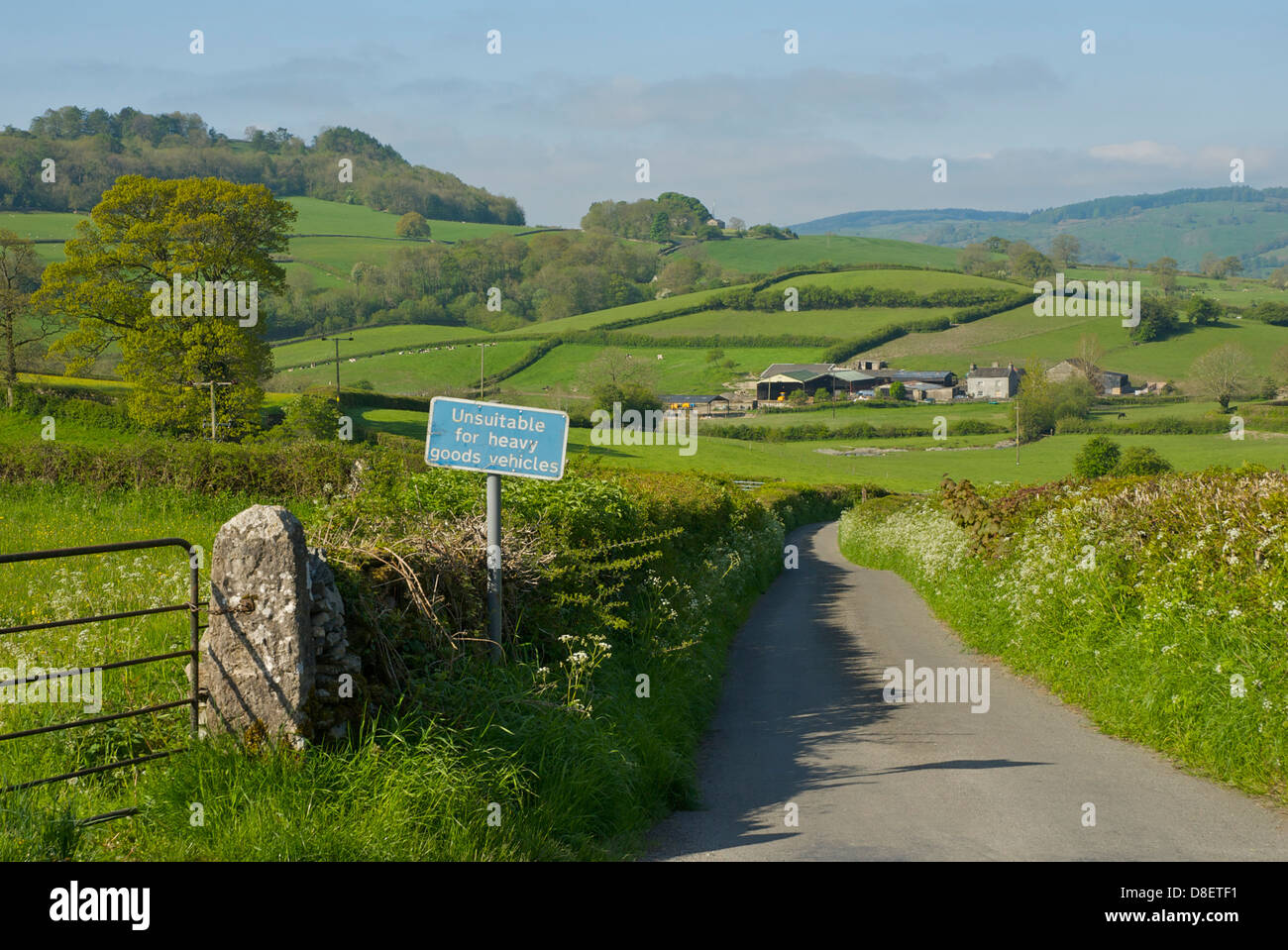 Country Lane near the village of Crosthwaite, Lyth Valley, Lake ...