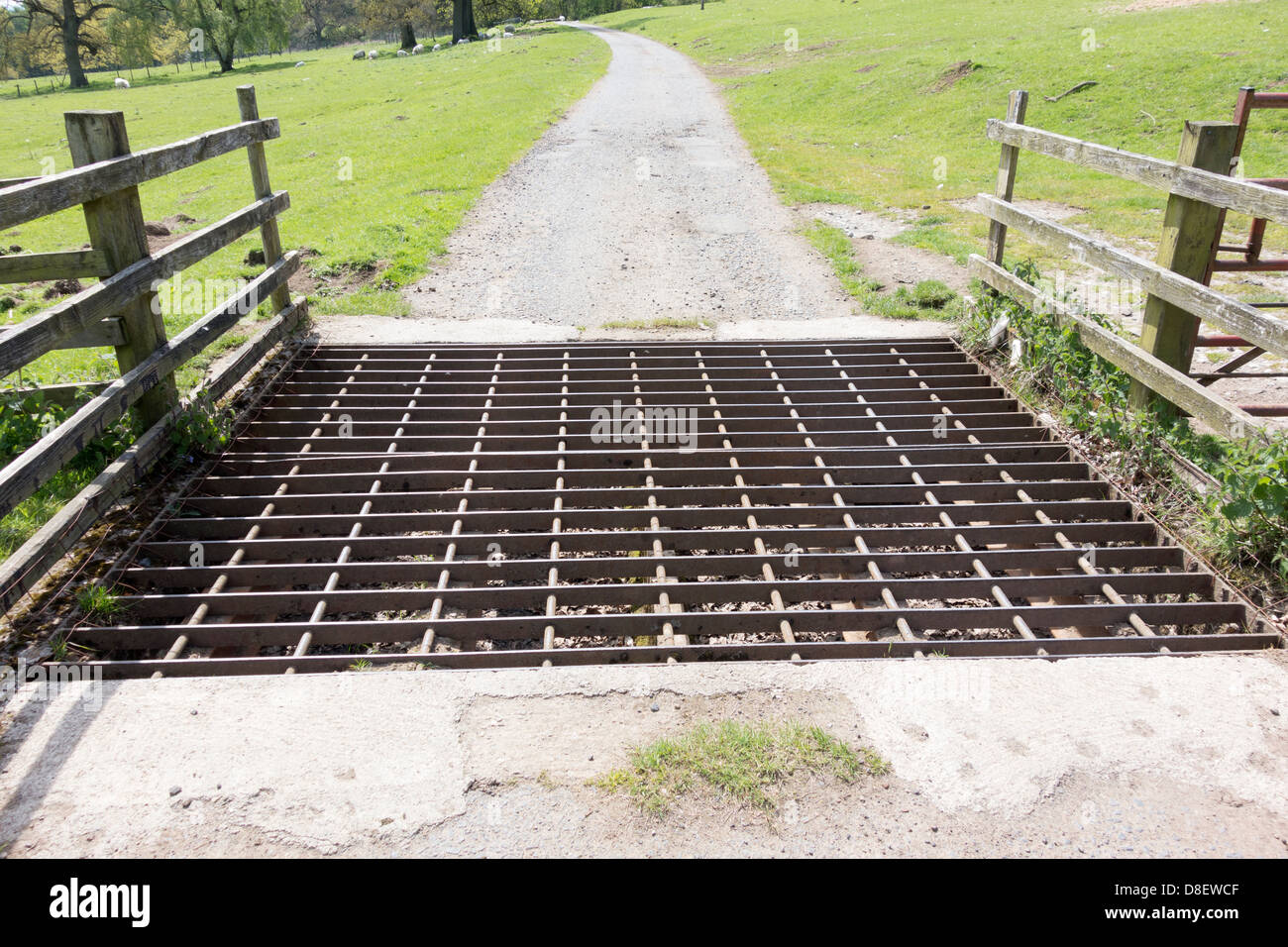 Typical cattle grid on a country track Stock Photo - Alamy