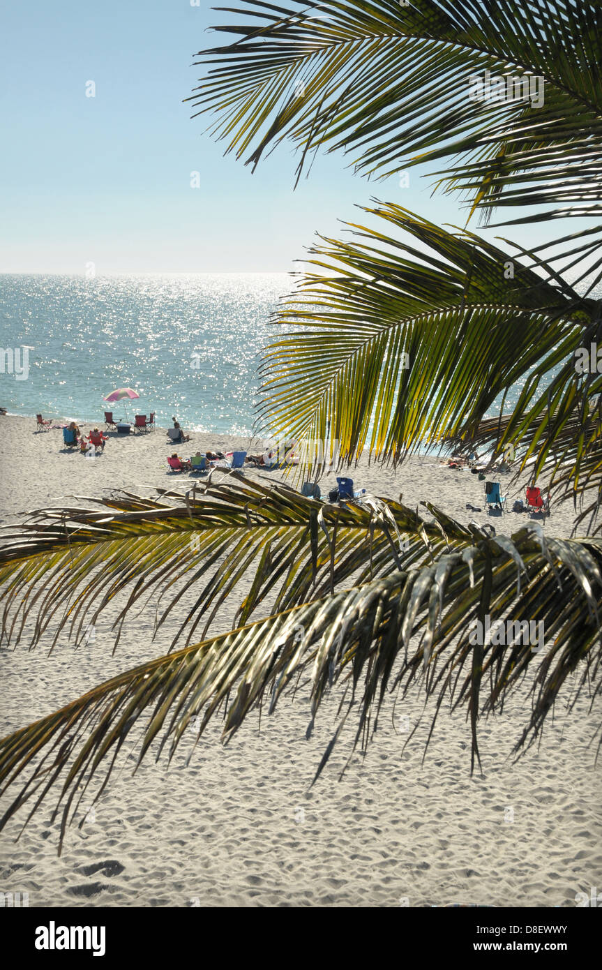 Florida beaches hi-res stock photography and images - Alamy