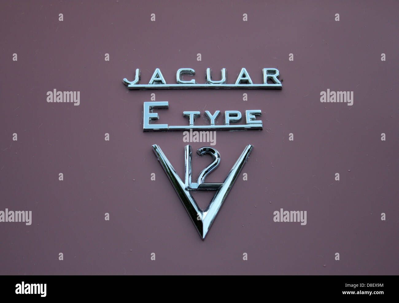Jaguar E-Type V12 badge Stock Photo - Alamy