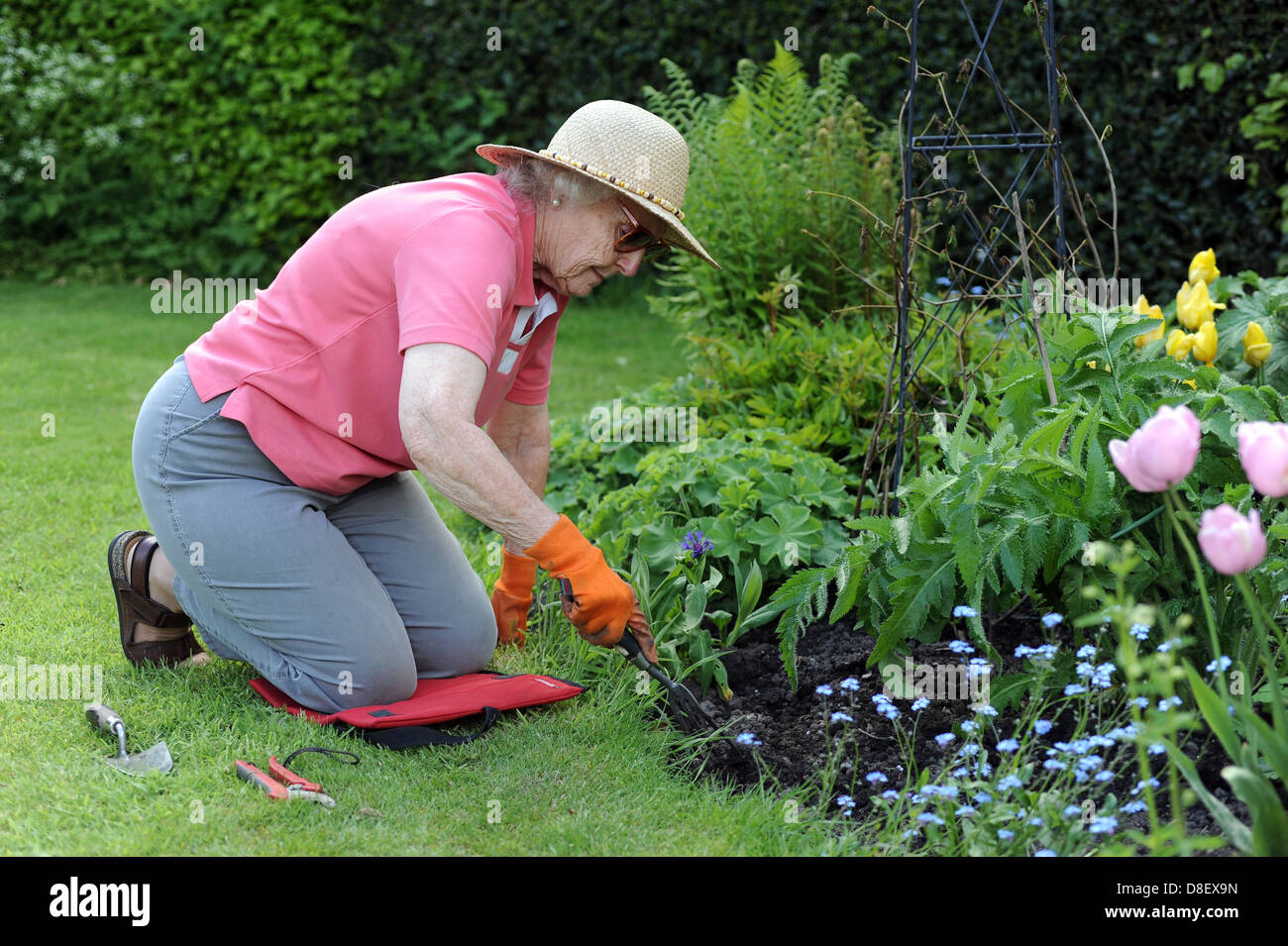 Old Gardening Woman Weeding