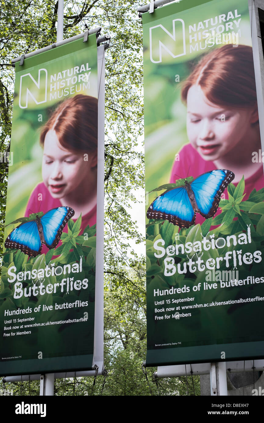 Exhibition of butterflies hi-res stock photography and images - Alamy