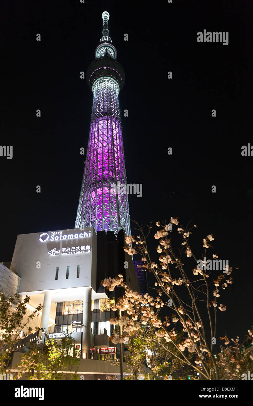 Television Tower Tokyo SkyTree with purple Miyabi illuminated at night ...